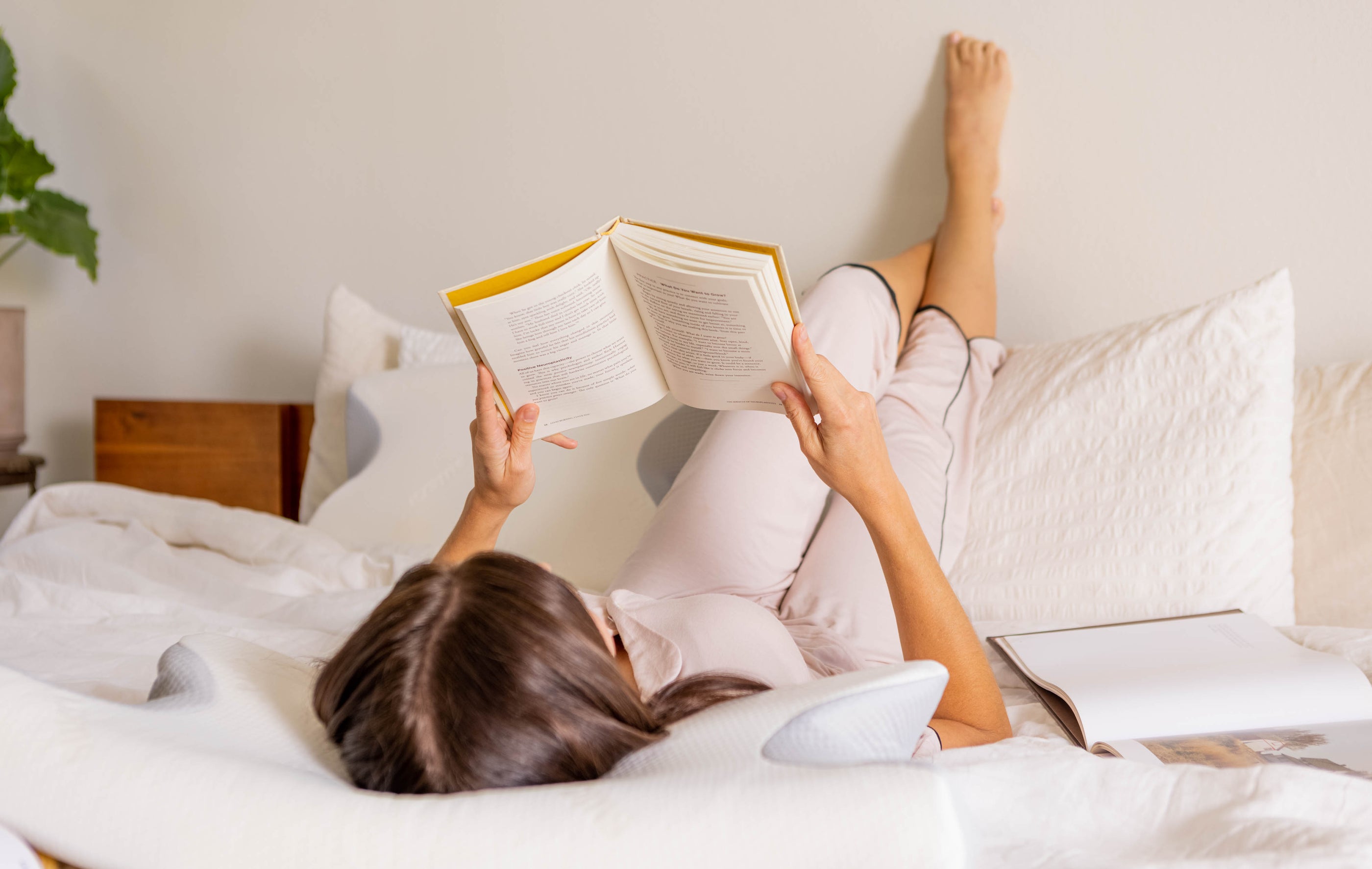 Dream Deep Memory Foam Pillow - Orthopedic Neck Support | Sutera®